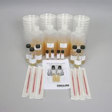 Introductory Bacterial Conjugation Kit (with perishables) | Carolina ...