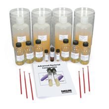 Advanced Bacterial Conjugation Kit (with voucher) | Carolina Biological ...