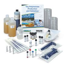 Taq Polymerase Production and Validation Kit | Carolina Biological Supply