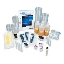 rClone: Exploring Regulation of Translation with Synthetic Biology Kit ...