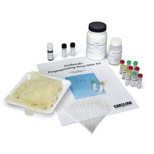 Outbreak! Fingerprinting Virus DNA Kit | Carolina Biological Supply