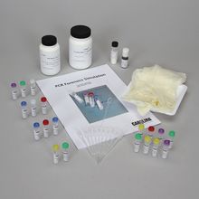 PCR Forensics Simulation 4-Station Kit | Carolina Biological Supply
