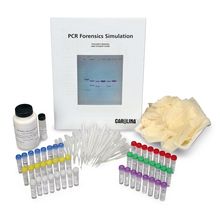PCR Forensics Simulation 8-Station Kit | Carolina Biological Supply