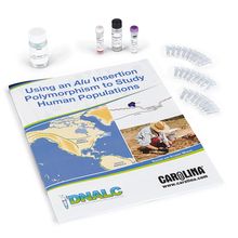 Human Alu DNA Extraction and Amplification Kit (with perishables ...