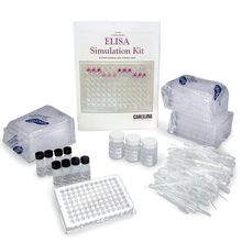 ELISA Simulation Kit | Carolina Biological Supply