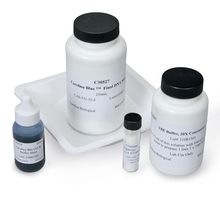 Electrophoresis Reagent Refill | Carolina Biological Supply