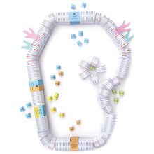 Origami Organelles™ 3-D Model Kit: Cell Membranes | Carolina Biological ...