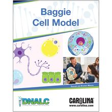 Baggie Cell Model Digital Resources | Carolina Biological Supply