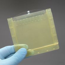 Precast Polyacrylamide Gel | Carolina Biological Supply