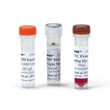 PTC Taster Perishables Set | Carolina Biological Supply