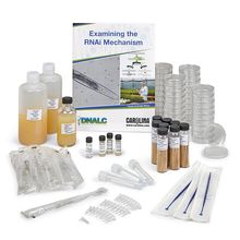 Examining the RNAi Mechanism Kit (RNAi and Amplification; with voucher ...