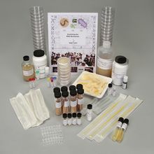 Examining the RNAi Mechanism Kit (RNAi, Amplification, and ...