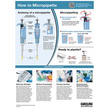 How to Micropipette Lab Skills Poster | Carolina Biological Supply