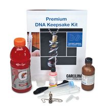 DNA Keepsake 1-Station Kit | Carolina Biological Supply