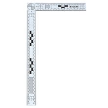 Forensics Reversible Scale, 300 x 150 mm | Carolina Biological Supply