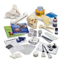 Cosmic Karma Kit | Carolina Biological Supply