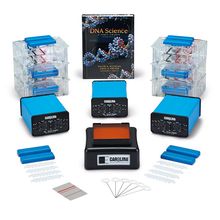 Carolina® Electrophoresis Equipment Package I, 110-V | Carolina ...