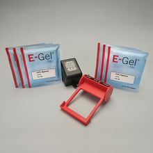 E-Gel® | Carolina Biological Supply