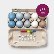 Blue Egg Gene (oocyan allele [O]) Chicken DNA Test, 38 Tests | Carolina ...