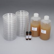 Luria Broth Agar + Ampicillin + X-gal Ready-to-Pour Media Set ...