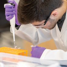 BioBuilder® Bioengineering for a Changing World: Class 2: DNA and ...