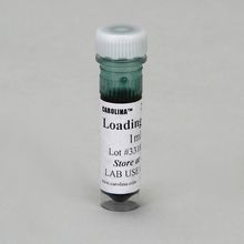 10X Loading Dye, 1 mL | Carolina Biological Supply