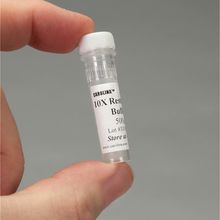10x Restriction Buffer, 500 uL | Carolina Biological Supply