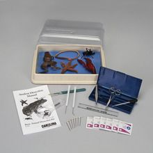 Introduction to Animal Dissection Kit | Carolina Biological Supply