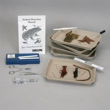 Basic Animal Dissection Kit | Carolina.com