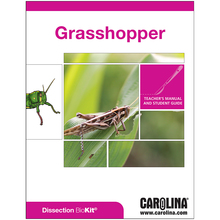 Grasshopper Dissection Digital Resources | Carolina Biological Supply