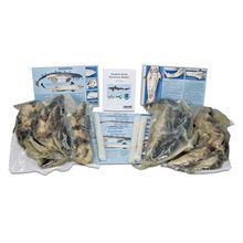 Shark Dissection BioKit® with Dissection Mats | Carolina Biological Supply