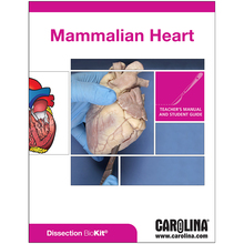 Mammalian Heart Dissection Digital Resources | Carolina Biological Supply