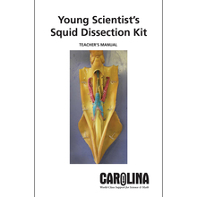 Squid Dissection Digital Resources | Carolina Biological Supply