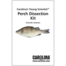 Perch Dissection Digital Resources | Carolina Biological Supply