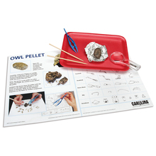 Owl Pellet Explorer Set | Carolina Biological Supply