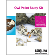 Owl Pellet Study Digital Resources | Carolina Biological Supply