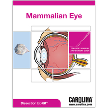 Mammalian Eye Dissection Digital Resources | Carolina Biological Supply