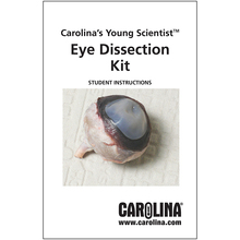Eye Dissection Digital Resources | Carolina Biological Supply