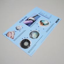 Elementary Dissection Mat, Carolina® Cow Eye | Carolina Biological Supply