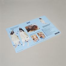 Carolina® Rat Dissection Mat | Carolina Biological Supply