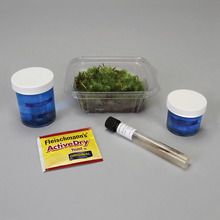 Understanding Reproduction and Chromosomes Kit Refill (with voucher ...