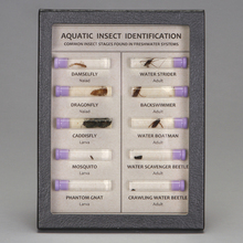 Aquatic Insects, Biorama™ Preparation | Carolina Biological Supply