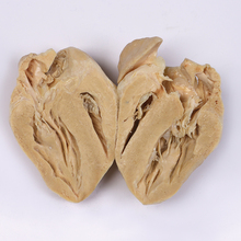 Plastinated Dissected Pig Heart | Carolina Biological Supply