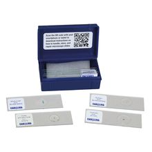 Life in a Pond Microscope Slide Set | Carolina Biological Supply