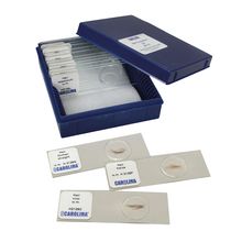 Hair Comparison Microscope Slide Set | Carolina Biological Supply