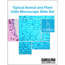 Typical Animal and Plant Cells Microscope Slide Set Digital Resources ...