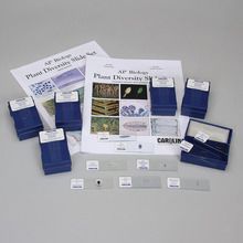 Plant Diversity Microscope Slide Classroom Set for AP® Biology ...
