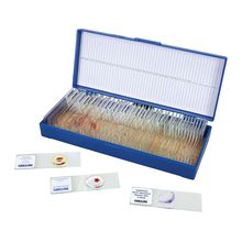 Basic Zoology Survey Microscope Slide Set | Carolina Biological Supply