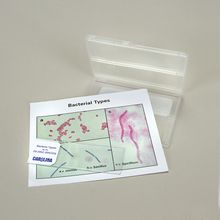 Discovering Bacteria Types Self-Study Unit, Microscope Slide Set ...