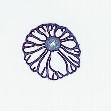 Coprinus Mushroom Slide, c.s., 12 µm | Carolina Biological Supply